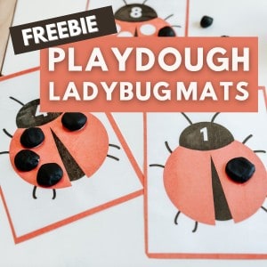 FREE LADYBUG PLAYDOUGH COUNTING CARDS - Jasmine Ansah