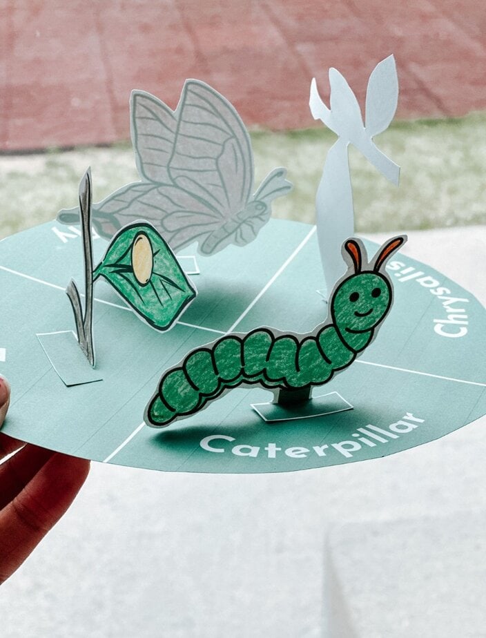 Butterfly Lifecycle Craft | FREE TEMPLATE - Jasmine Ansah
