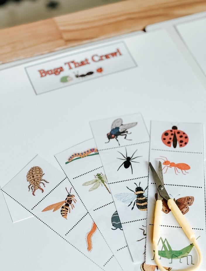 Fun Bug Fine Motor Cutting Activity - Jasmine Ansah